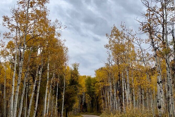 Park City: Family Friendly Xpedition Adventure - Frequently Asked Questions (FAQs)