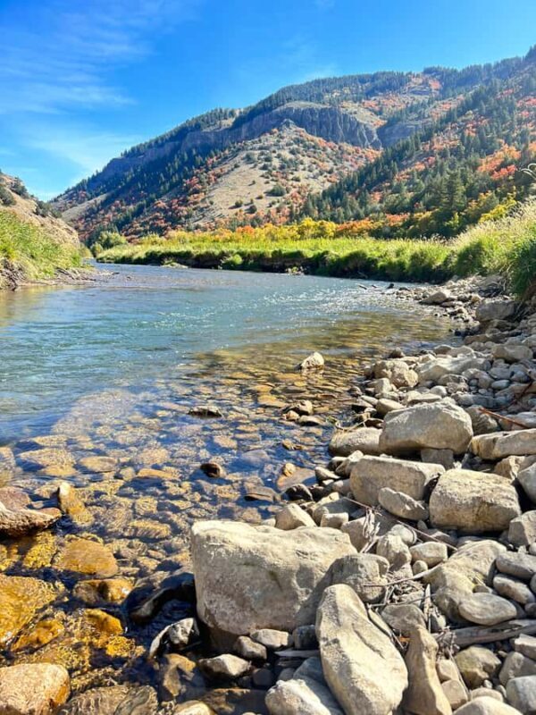 Park City: Guided Fly Fishing on Provo & Weber Rivers - Itinerary Breakdown