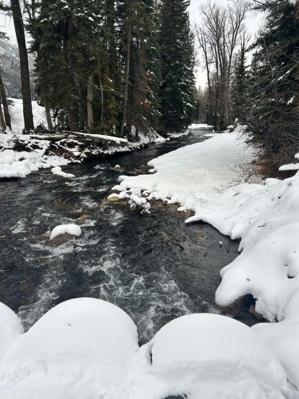 Park City: Guided Fly Fishing on Provo & Weber Rivers - The Sum Up