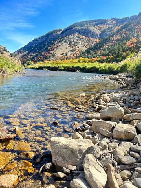 Park City: Guided Fly Fishing on Provo & Weber Rivers - What Makes This Fly Fishing Tour Stand Out?