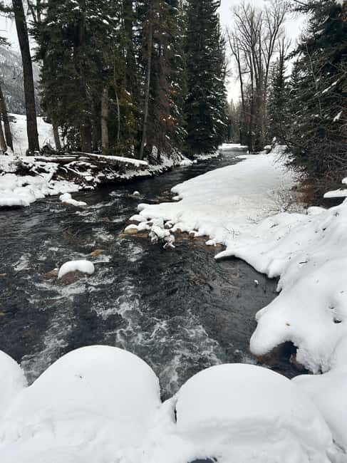 Park City: Guided Fly Fishing on Provo & Weber Rivers - Final Thoughts: Is This the Right Experience for You?