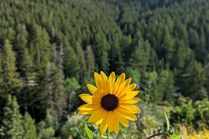 Park City Hiking Activity with Local Guide - Who Will Love This Experience?