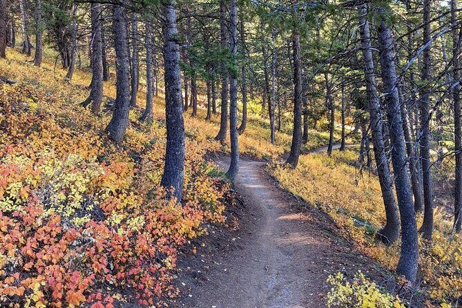 Park City Hiking Activity with Local Guide - The Experience in Practice: What Travelers Say