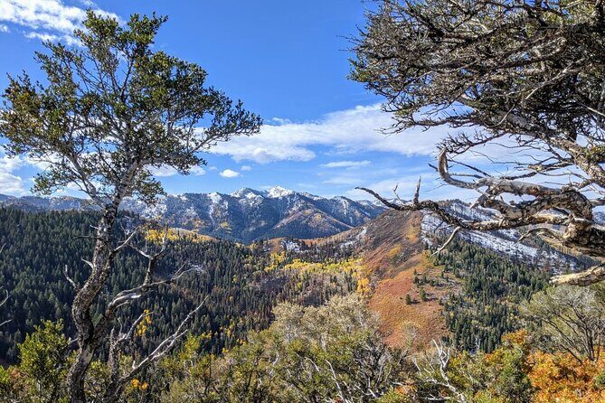 Park City Hiking Activity with Local Guide - FAQs