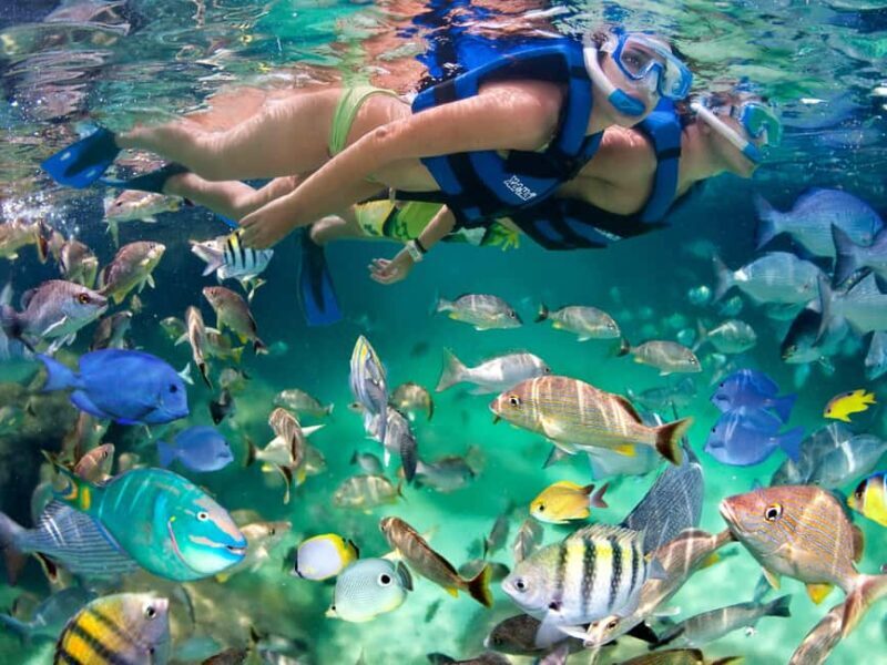 Park Package: Xcaret Plus, Xplor, and Xoximilco - The Sum Up