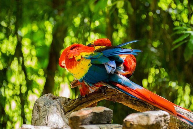 Park Xcaret Plus with Transportation from Cancun and Riviera Maya - Final Thoughts