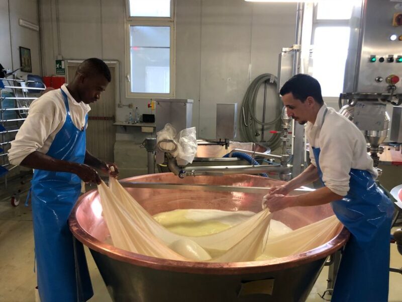 Parma Food Tour: Parmigiano Reggiano & Prosciutto di Parma - Who Is This Tour Best For?