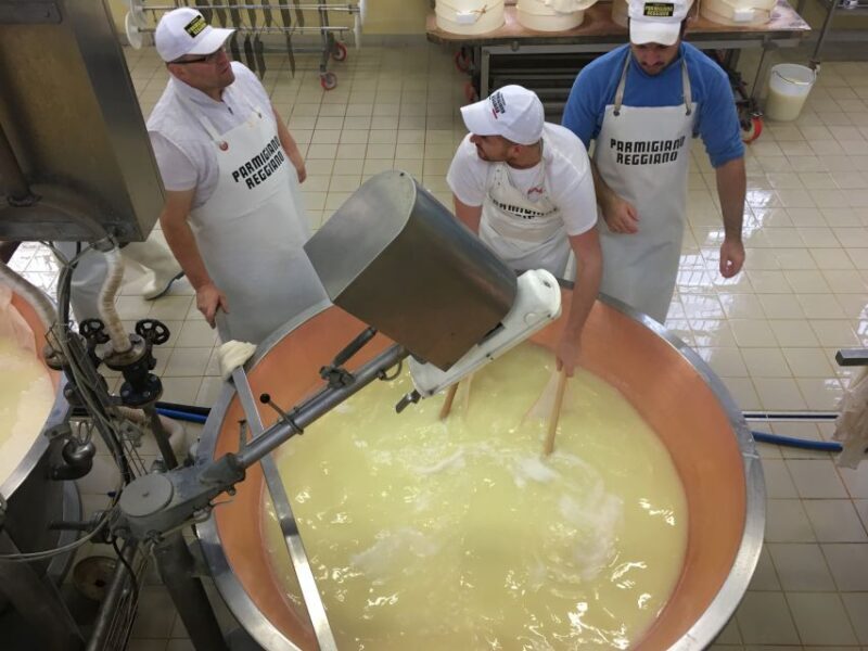 Parma: Full Day Food Tour with Tastings and Lunch - The Sum Up