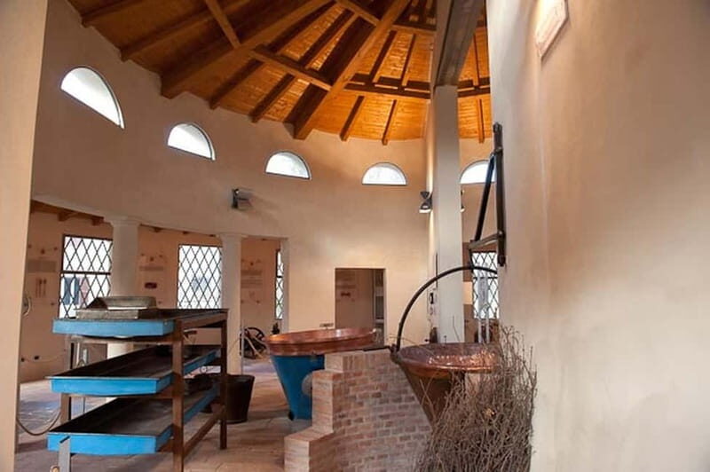 Parma: Parmigiano Reggiano Museum Ticket - What Youll Experience at the Parmigiano Reggiano Museum