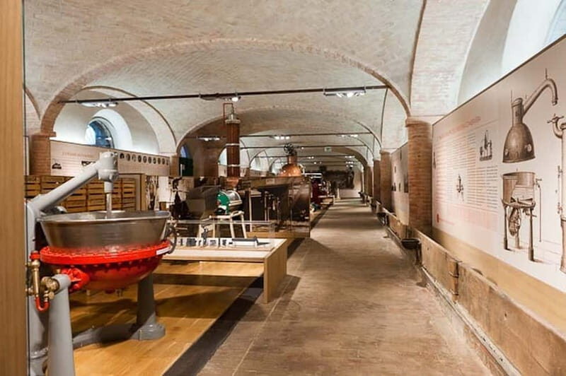Parma: Tomato Museum Ticket with Optional Tasting - The Sum Up