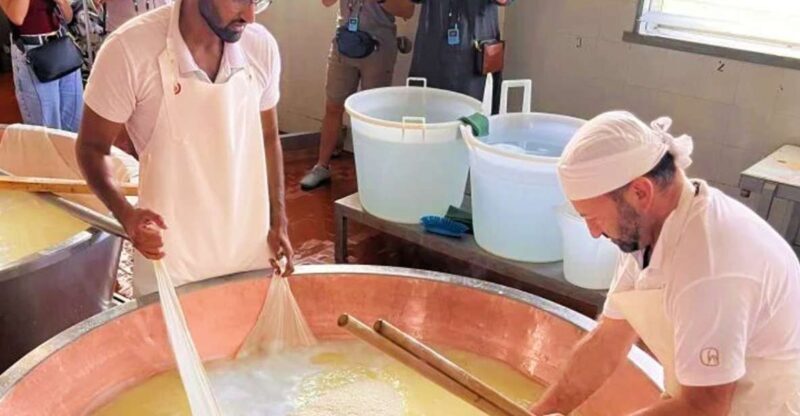 Parma: Traditional Cheese Factory Visit with Tasting - Transportation & Logistics