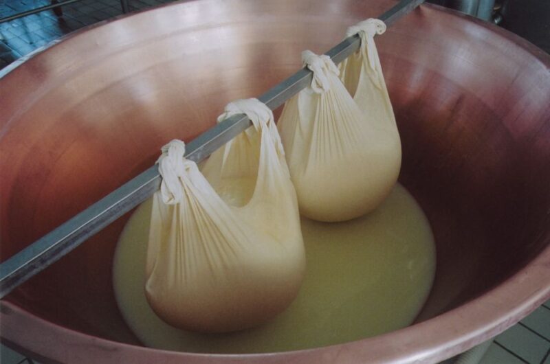 Parma: Traditional Cheese Factory Visit with Tasting - Who Will Love This Tour?