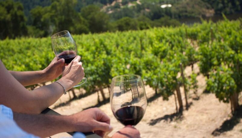 Parma: Winery Tour and tasting - Final Thoughts