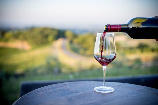 Parma Winery Tour, Wine Tasting & Local Delicacies with Transfer - What’s Noteworthy from Reviews