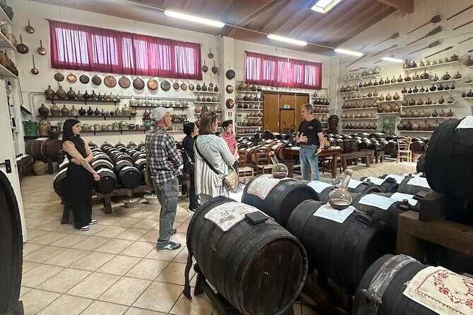 Parmesan and Balsamic Food Tour with Ferrari Museum - Final Thoughts: Who Will Love This Tour?