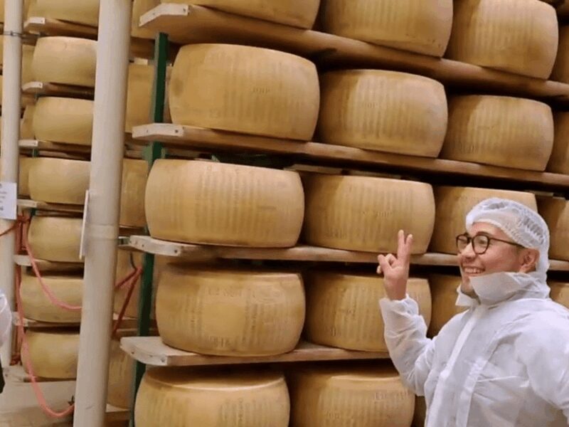 Parmesan Cheese Factory Tour & Tasting near Parma - Who Should Consider This Tour?