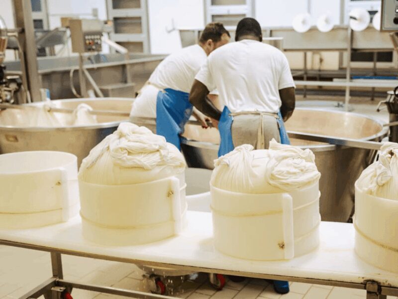 Parmesan Cheese Factory Tour & Tasting near Parma - Final Thoughts