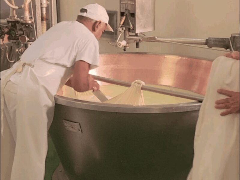 Parmesan Cheese Tour & Tasting close to Modena - The Sum Up: Who Should Consider This Tour?