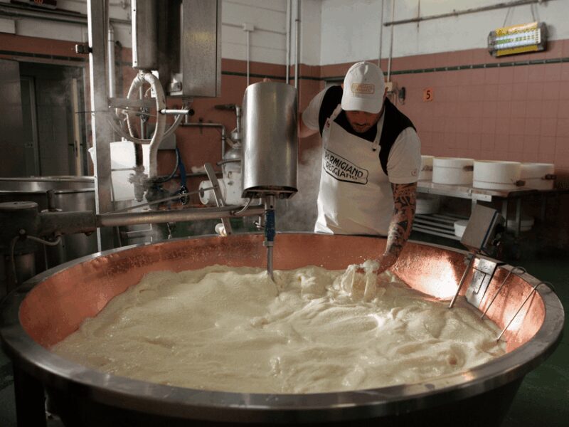 Parmesan Cheese Tour & Tasting near Modena - Key Points