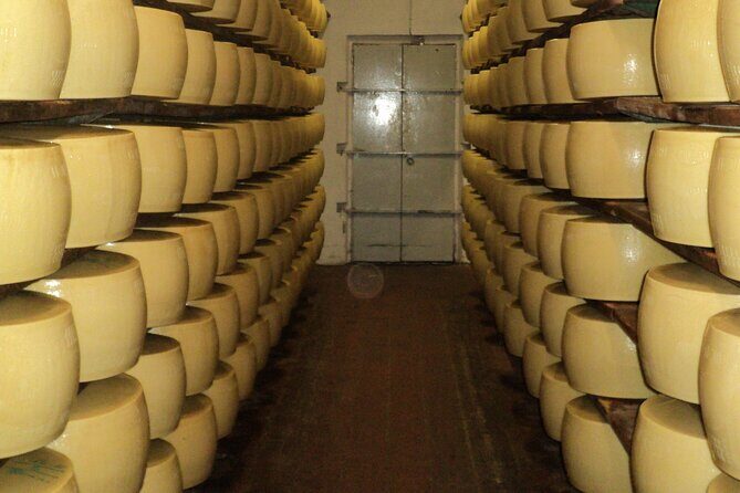 Parmigiano Reggiano and Parma ham tour - An Authentic Taste of Parma: The Overview
