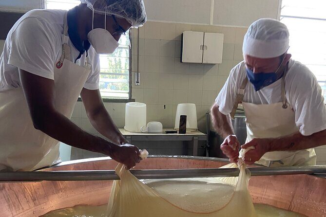 Parmigiano-Reggiano Cheese Factory Small group Tour From Parma - Final Thoughts