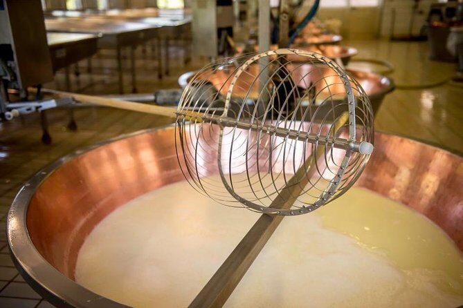 Parmigiano Reggiano Cheese Factory Tour & Tasting Experience - FAQ - Practical Questions About the Tour