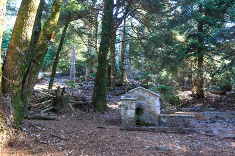 Parnitha (Parnis) / Skipiza & Mola loop - Hike near Athens - Key Points