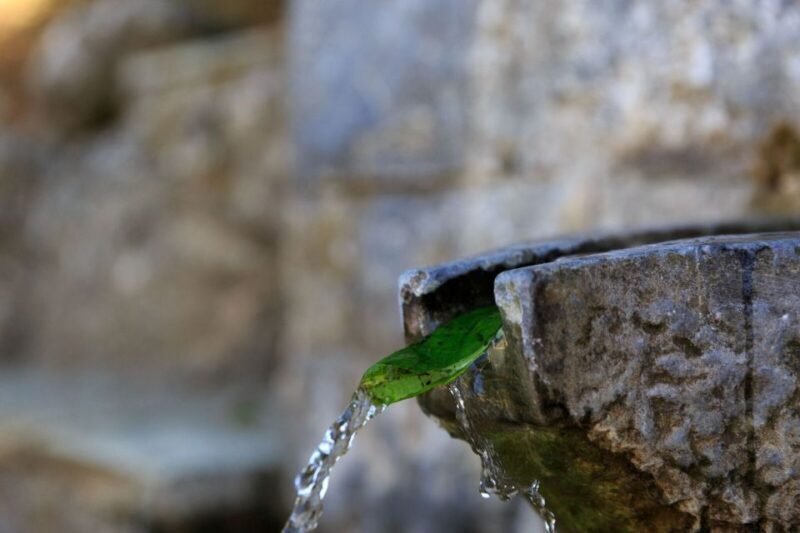 Parnitha (Parnis) / Skipiza & Mola loop - Hike near Athens - Why This Tour Is Worth Considering
