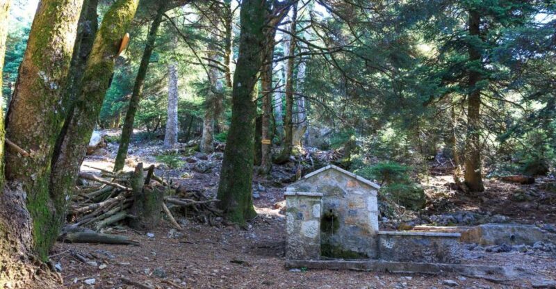 Parnitha (Parnis) / Skipiza & Mola loop - Hike near Athens - Authentic Encounters & Practical Tips