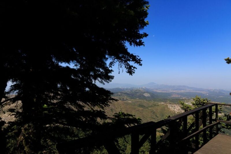 Parnitha (Parnis) / Skipiza & Mola loop - Hike near Athens - Final Thoughts