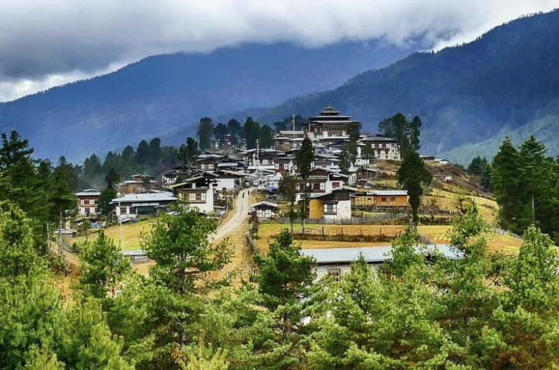 Paro: Culture and Nature 4-Day Guided Tour - Key Points