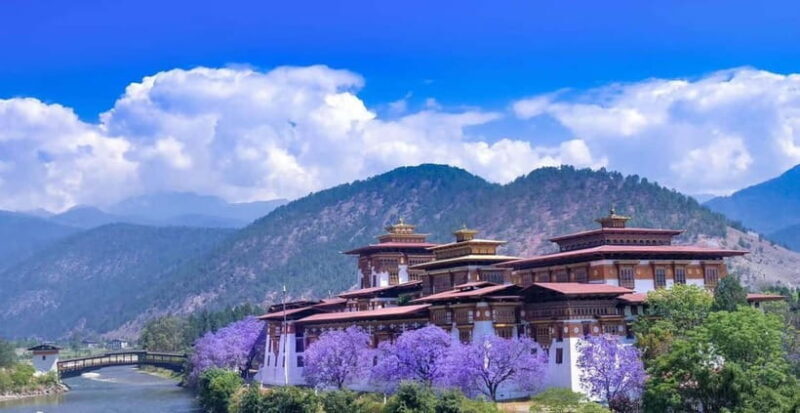 Paro: Culture and Nature 4-Day Guided Tour - Value and Practicalities