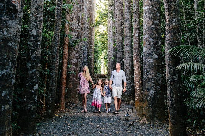 Paronella Park and Millaa Millaa Falls Full-day Tour from Cairns - Introduction