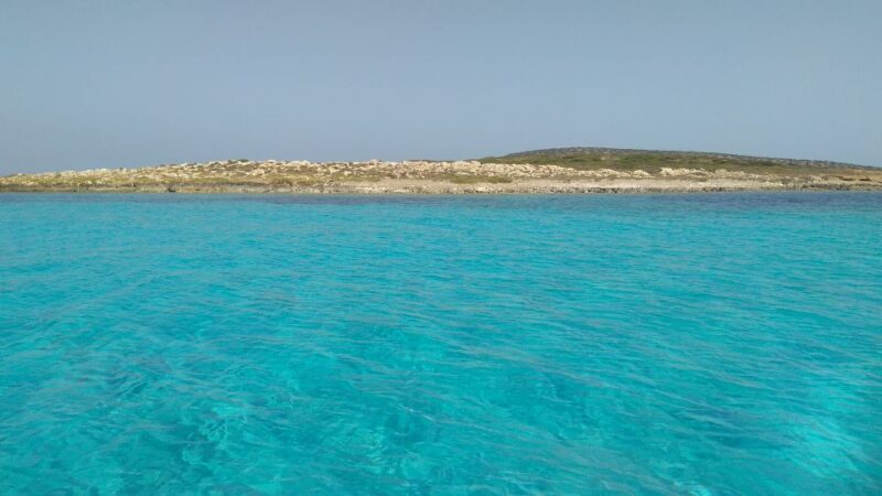 Paros: Antiparos Island and Despotiko Private Boat Trip - Why This Tour Is a Great Choice