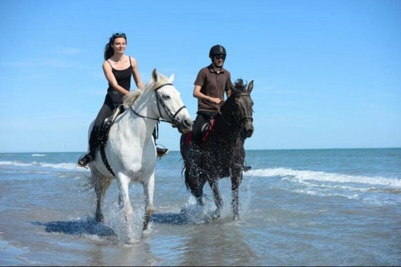 Paros: Morning Island Horseback Riding Adventure - Key Points
