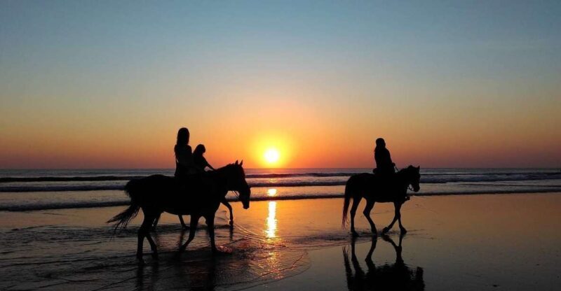 Paros: Morning Island Horseback Riding Adventure - Who Should Consider This Tour?