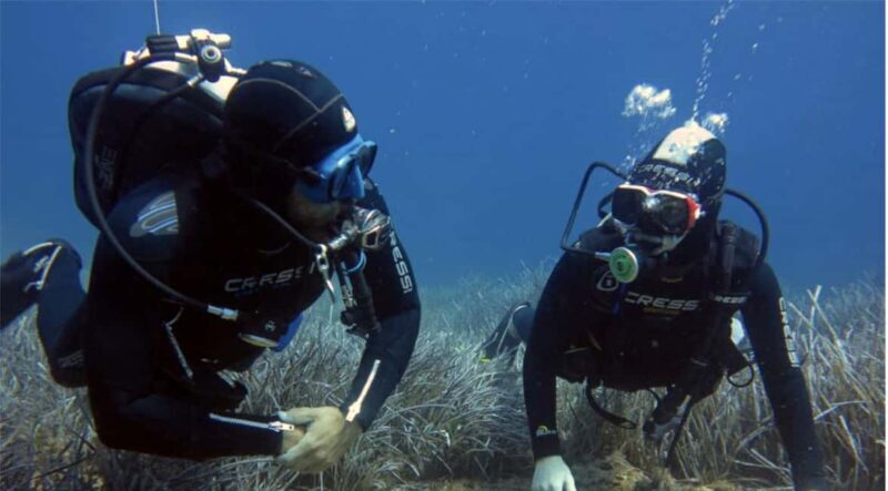 Paros: Scuba Diving Experience - An Authentic Underwater Experience with a Clear Structure