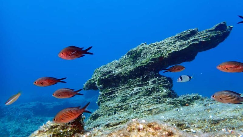 Paros: Scuba Diving Experience - Who Will Love This Experience