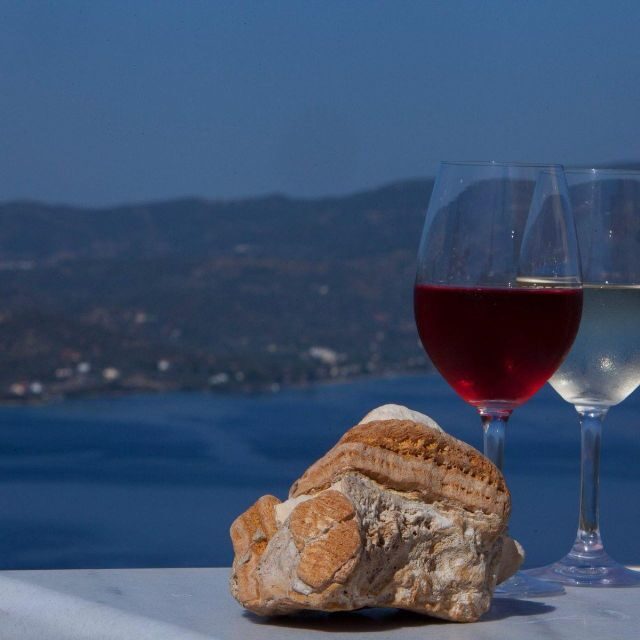 Paros wine tour and tasting - Paros Wine Tour and Tasting: A Practical Guide to Greek Vineyard Delights