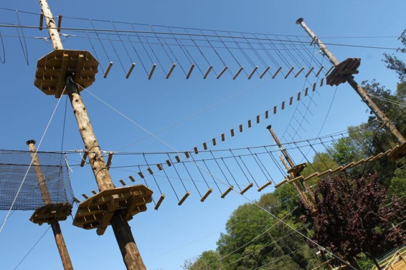Parque Multiaventura en Asturias - The Circuits: What Really Makes This Place Special