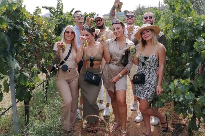Partinico:Grape harvest in the lands of FrederikII of Swabia - Who Is This Tour Best For?