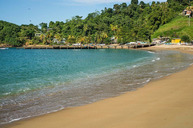 Partlatuvier Bay Day Trip with Lunch - Who Would Love This Experience?