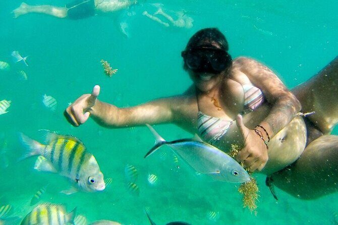 Party Boat - Private groups, snorkeling - Open Bar. - Final Thoughts