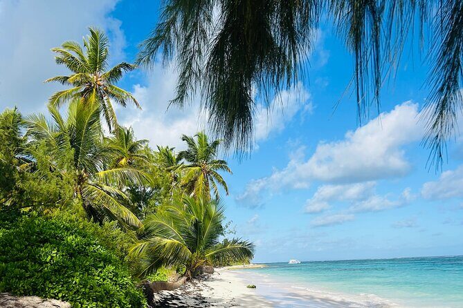 Party Boat Punta Cana Public or Private and Open Bar - Authentic Experiences and Traveler Insights