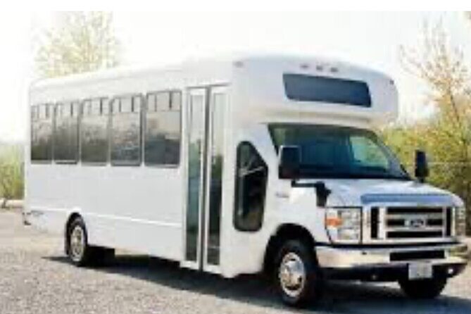 Party Bus Experience in San Juan, Puerto Rico - Key Points