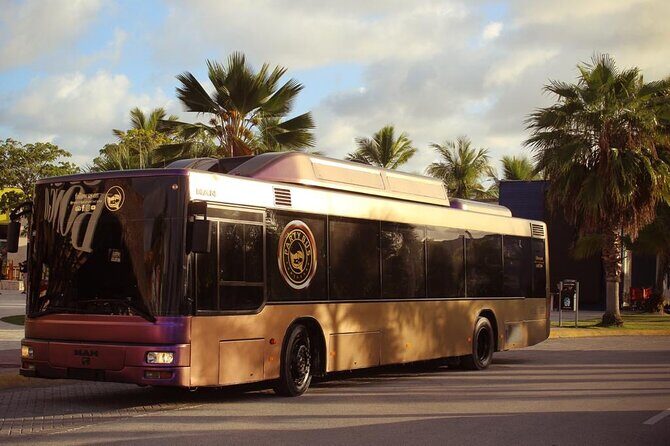 Party Bus Rental - Key Points