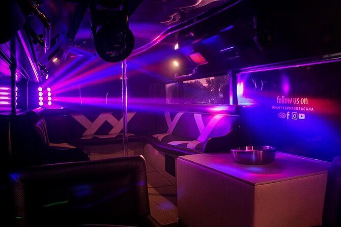 Party Bus Rental - An In-Depth Look at the Party Bus Experience