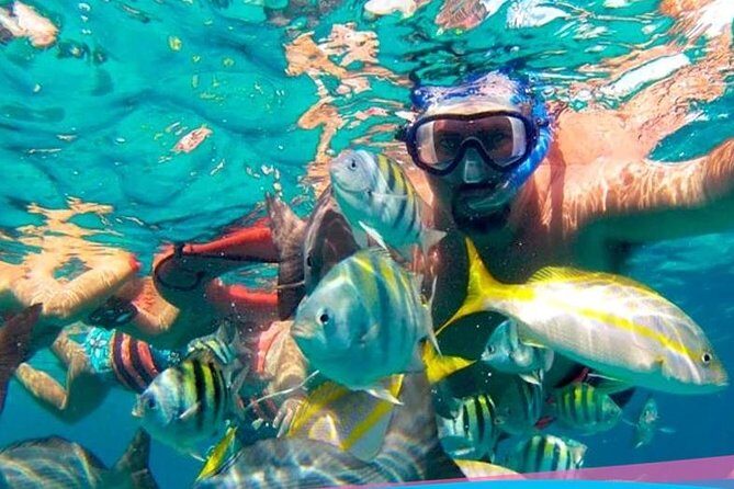 Party On Sailing Cruise to Isla Mujeres from Cancun - Final Words