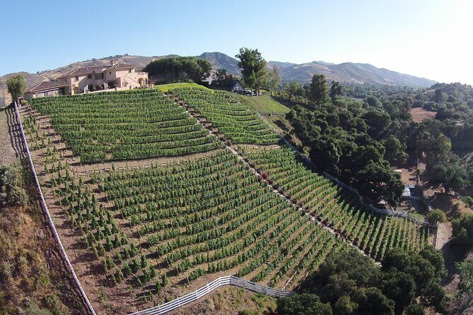 Paso Robles Gold Reserve Flight - The Value of the Experience