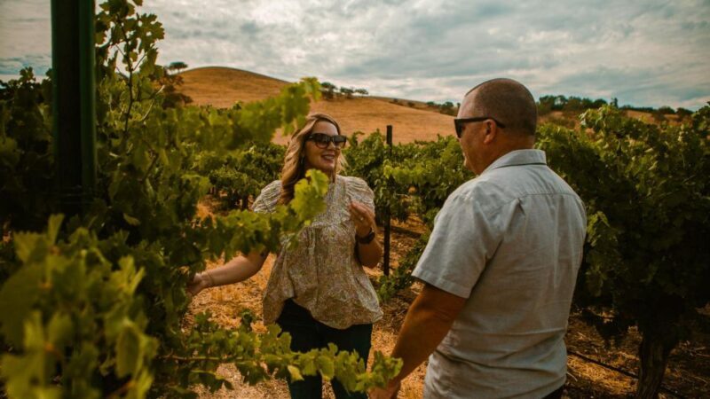 Paso Robles: Scenic Sidecar Vineyard Tour - What Travelers Are Saying